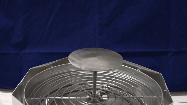 Pizza Shrink Film to Protect and Secure! – Packaging Blog